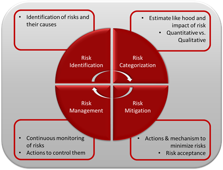 Project Management: Risk Management Process